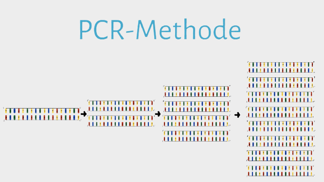 Erklärvideos - Abstrakte molekularbiologische Themen einfach erklärt ...