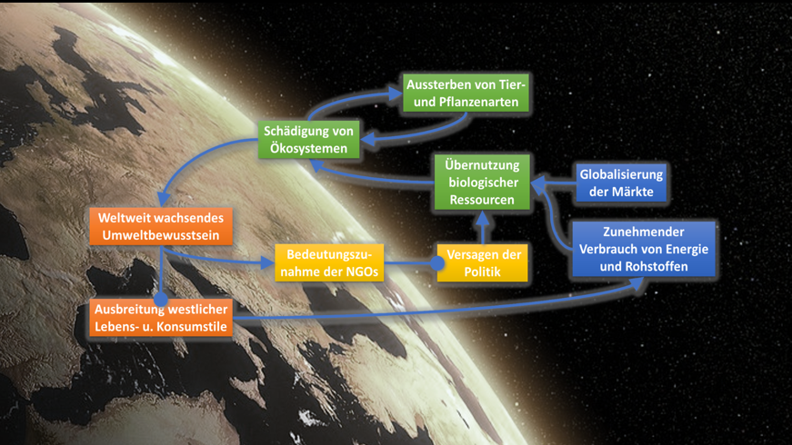 SysThema - Förderung systemischen Denkens | PH Ludwigsburg
